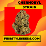 Cannabis Seeds Online Arizona Seedbank : Quality Marijuana
